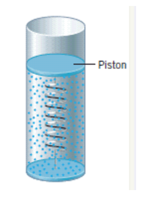 Cross Section of a Graduated Cylinder - TerrenteexLester