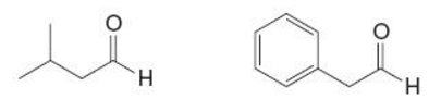 Solved What four β-hydroxy aldehydes would be formed by a | Chegg.com
