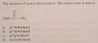 Solved The structure of urea is shown below. The carbon atom | Chegg.com