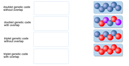Solved Suppose that a geneticist was attempting to determine | Chegg.com Solved Suppose that a geneticist was attempting to determine | Chegg.com