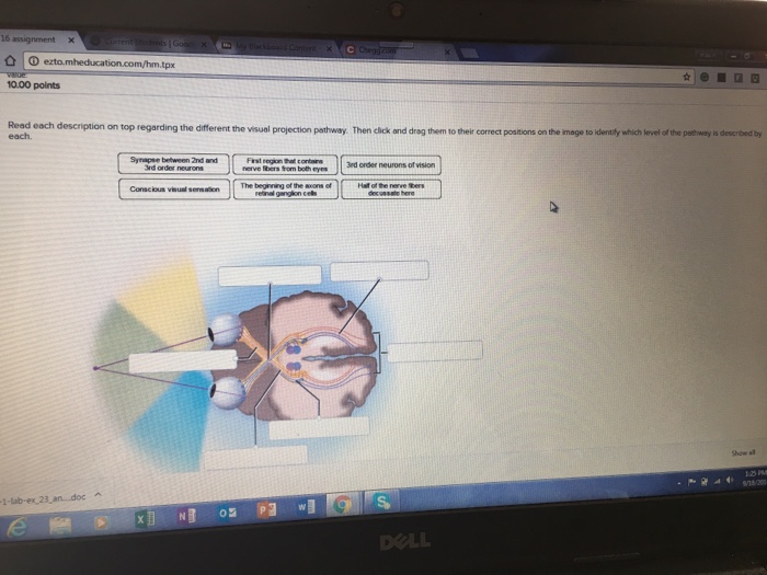 Read each description on top regarding the different | Chegg.com