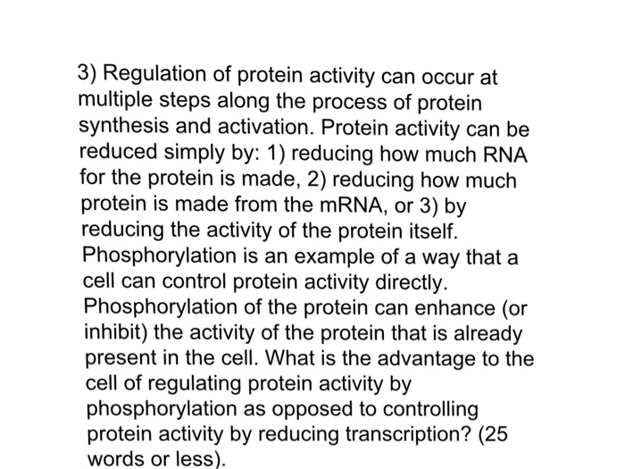 Solved Regulation of protein activity can occur at multiple | Chegg.com