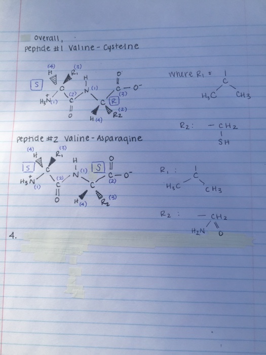 Solved Are these D or L isomers and how do you know? A short | Chegg.com