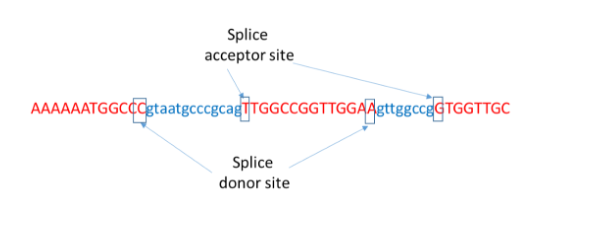 1.In this question, you will investigate the | Chegg.com