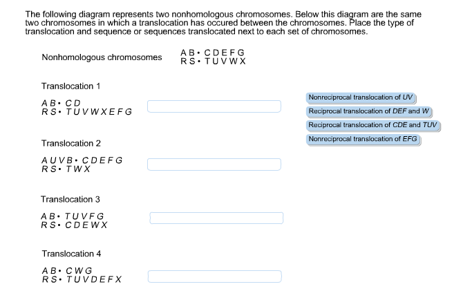 Solved place the type of translocation and sequence or | Chegg.com