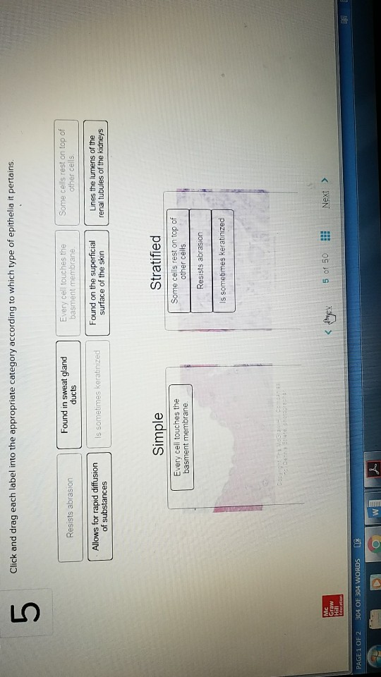 Solved: Click And Drag Each Label Into The Appropriate Cat... | Chegg.com