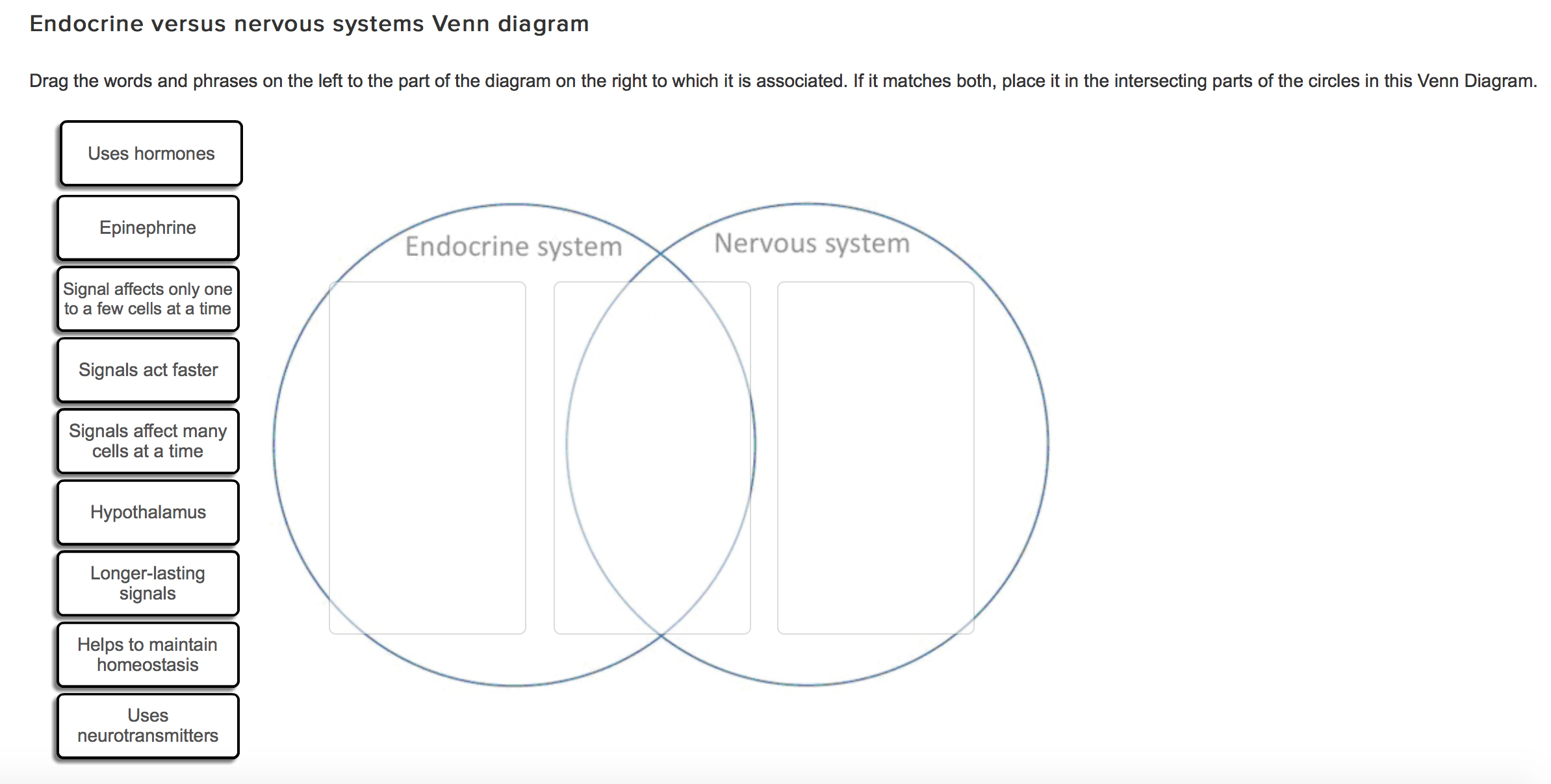 Solved Drag the words and phrases on the left to the part of | Chegg.com