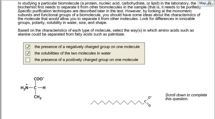 Solved In studying a particular biomolecule (a protein, | Chegg.com