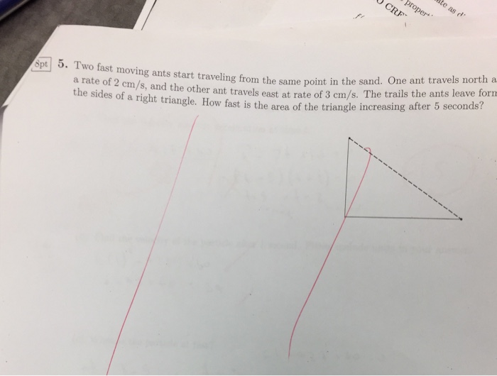Solved Two fast moving ants start traveling from the same | Chegg.com