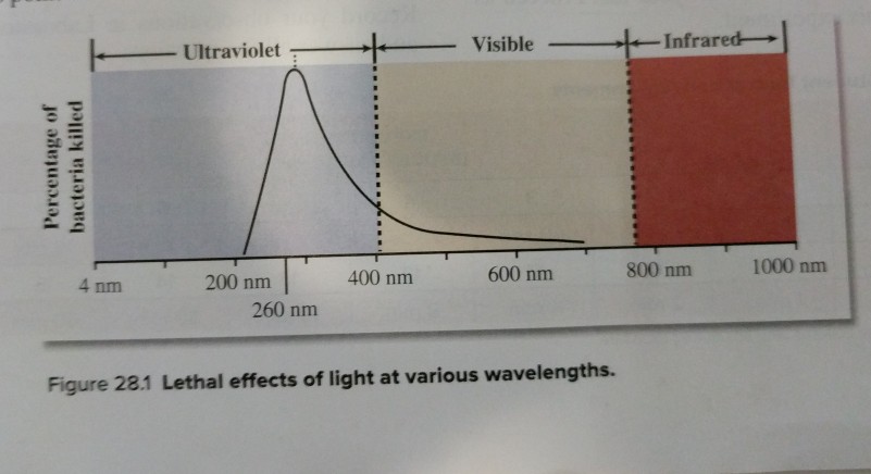 Solved Visible -Infrared-→ Ultraviolet 600 nm 800 nm 1000 nm | Chegg.com