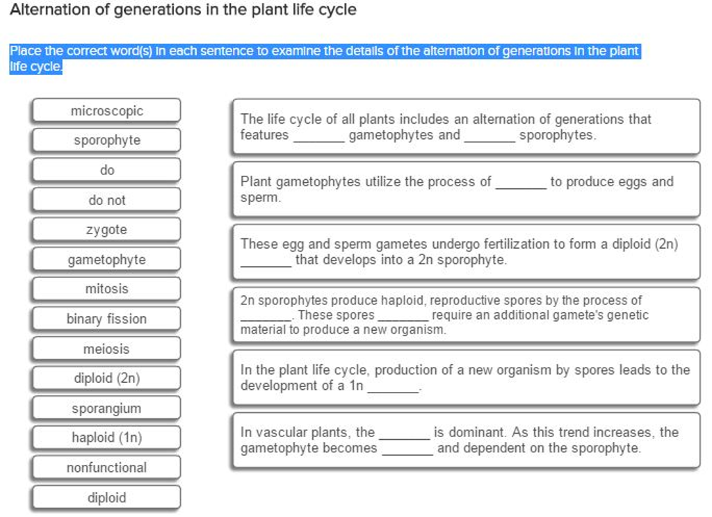Solved Place the correct word(s) in each sentence to examine | Chegg.com