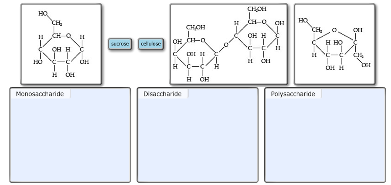 Solved Part A: Identify which of the following are | Chegg.com Solved Part A: Identify which of the following are | Chegg.com