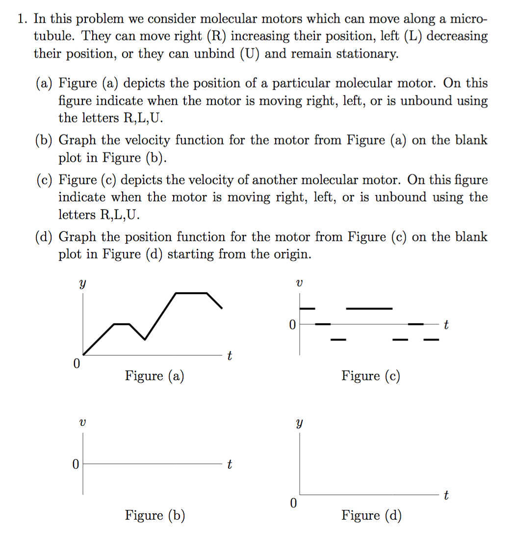 Solved We consider molecular motors which can move along a | Chegg.com