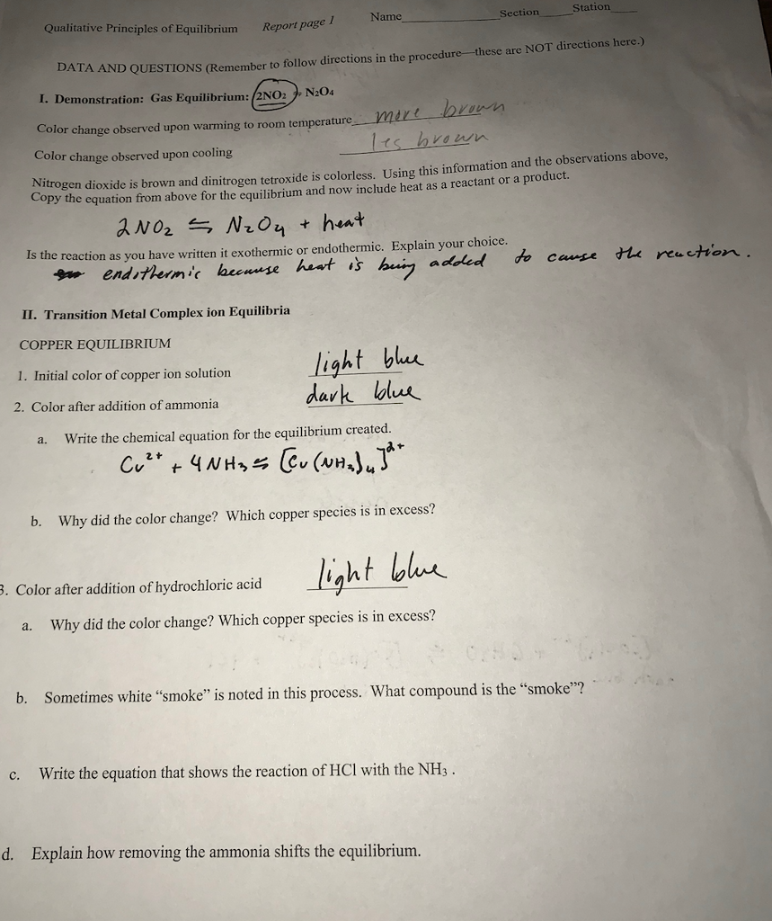 Solved Station Qualitative Principles of Equilibrium Report | Chegg.com