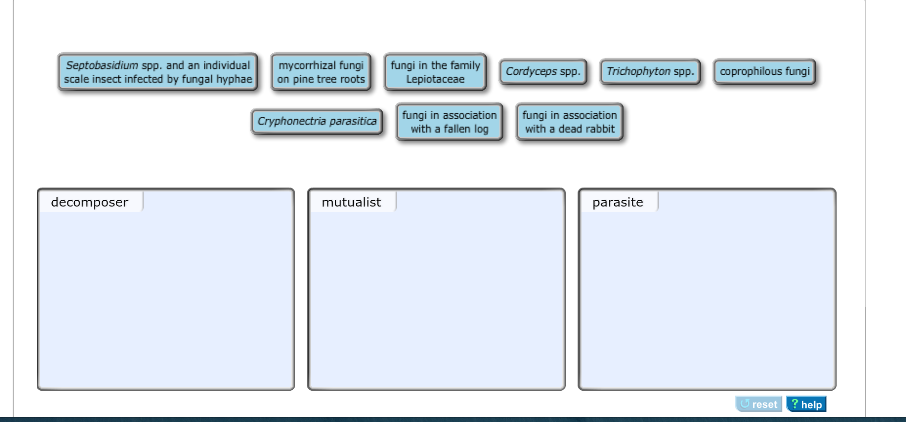 Solved Most fungi are decomposers; they recycle the | Chegg.com