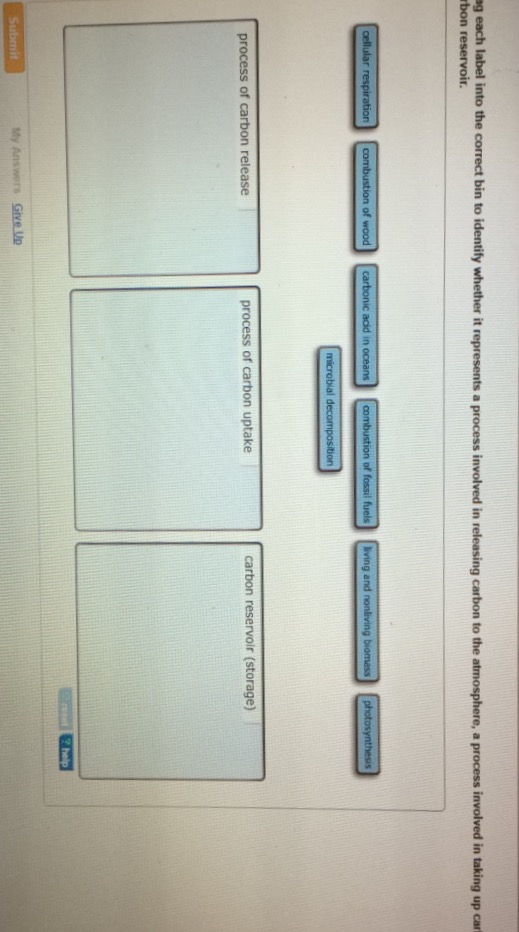 Solved g each label into the correct bin to identify whether | Chegg.com