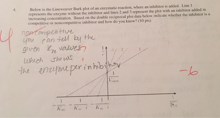 Solved Below is the Lineweaver Burk plot of an enzymatic | Chegg.com