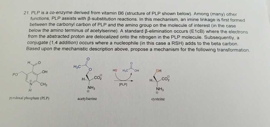 Solved 21. PLP is a co-enzyme derived from vitamin B6 | Chegg.com