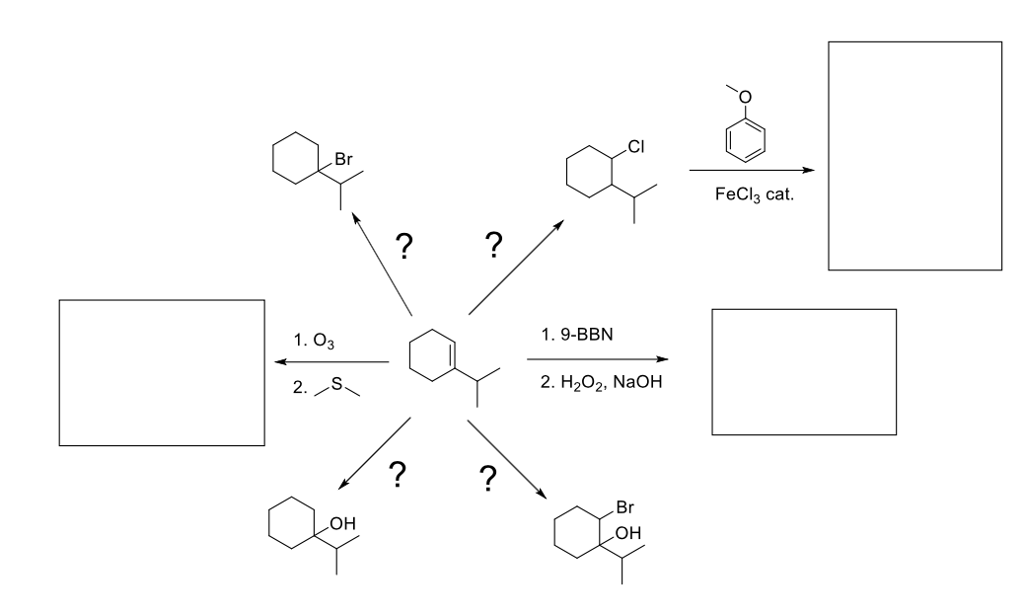 Solved 3. Fill in the empty boxes with the correct products, | Chegg.com