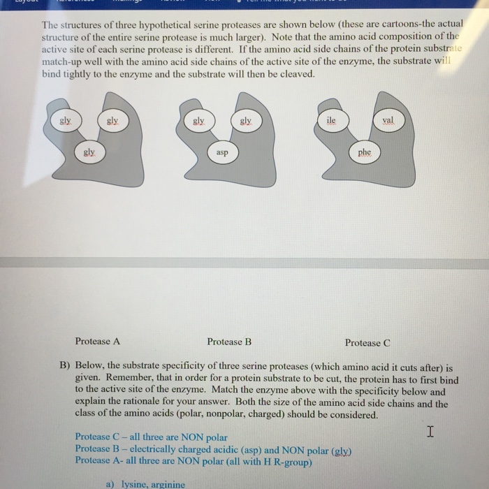 Solved This is for an online lab in intro to cell bio and I | Chegg.com