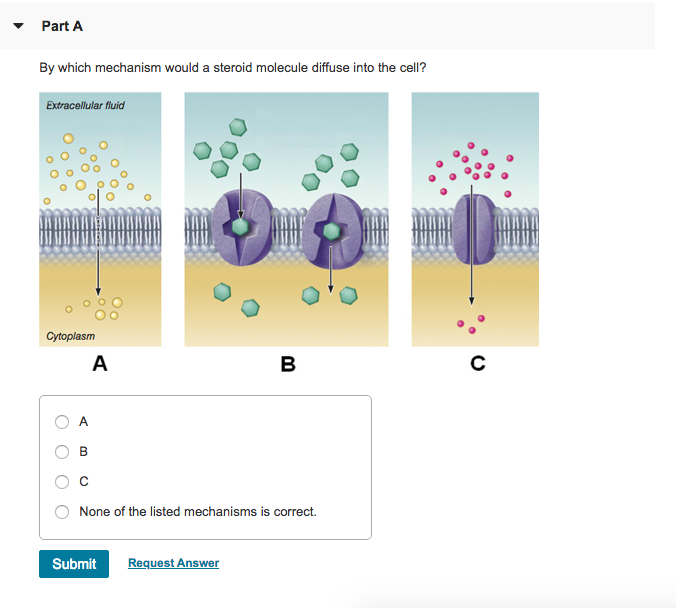 Solved Part A By which mechanism would a steroid molecule | Chegg.com