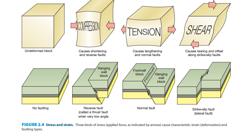 Solved TRANSFORM BOUNDARIES: Lithosphere is not created or | Chegg.com