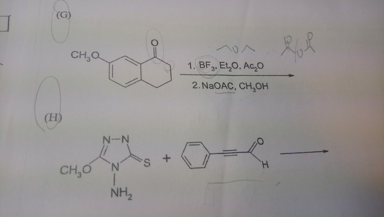 Solved CH3 1. BF3 Et,0, Ac2O 2. NaOAC, CH,0H N-N NH2 | Chegg.com