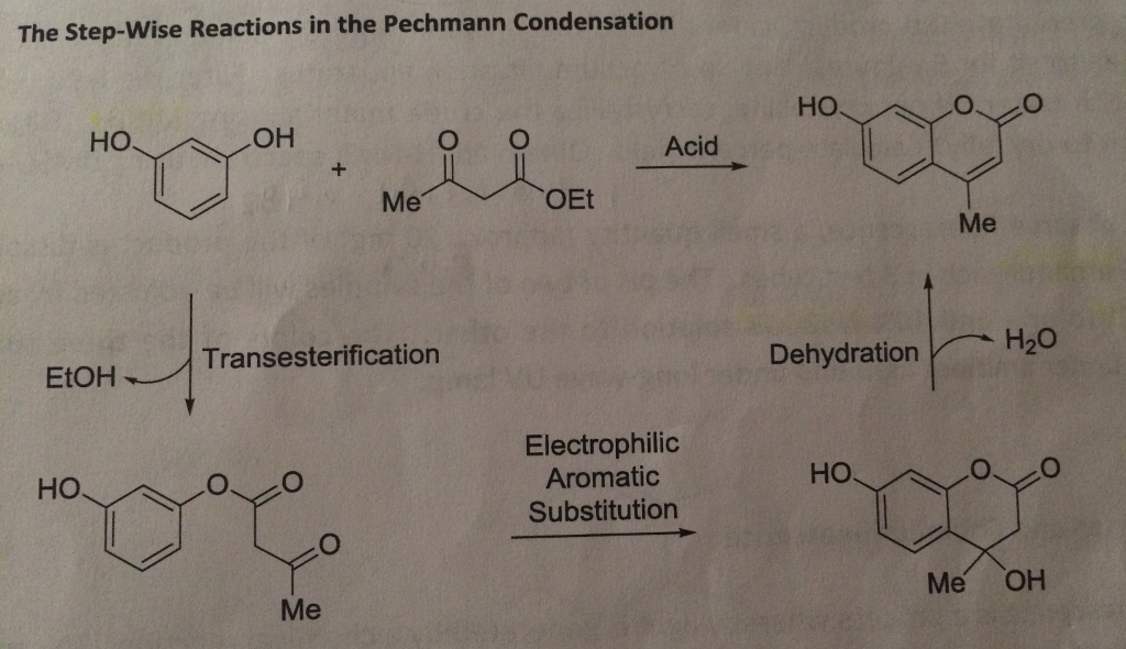 Solved For Electrophilic Aromatic Substiution step, consider | Chegg.com