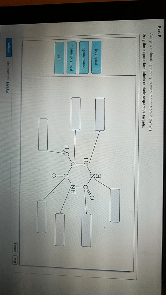 Solved Part E Assign an electron geometry to each interior | Chegg.com Solved Part E Assign an electron geometry to each interior | Chegg.com