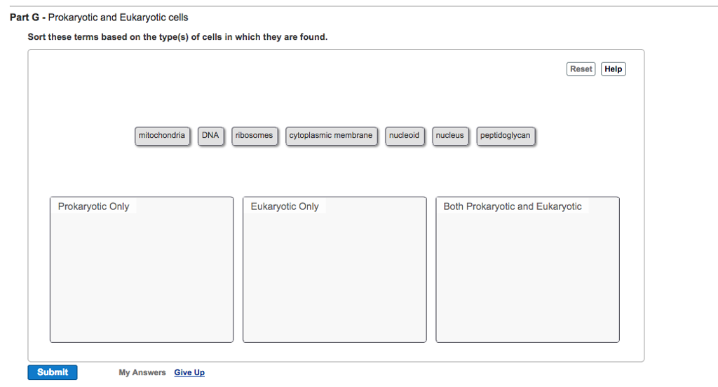 Solved Sort these terms based on the type(s) of cells in | Chegg.com