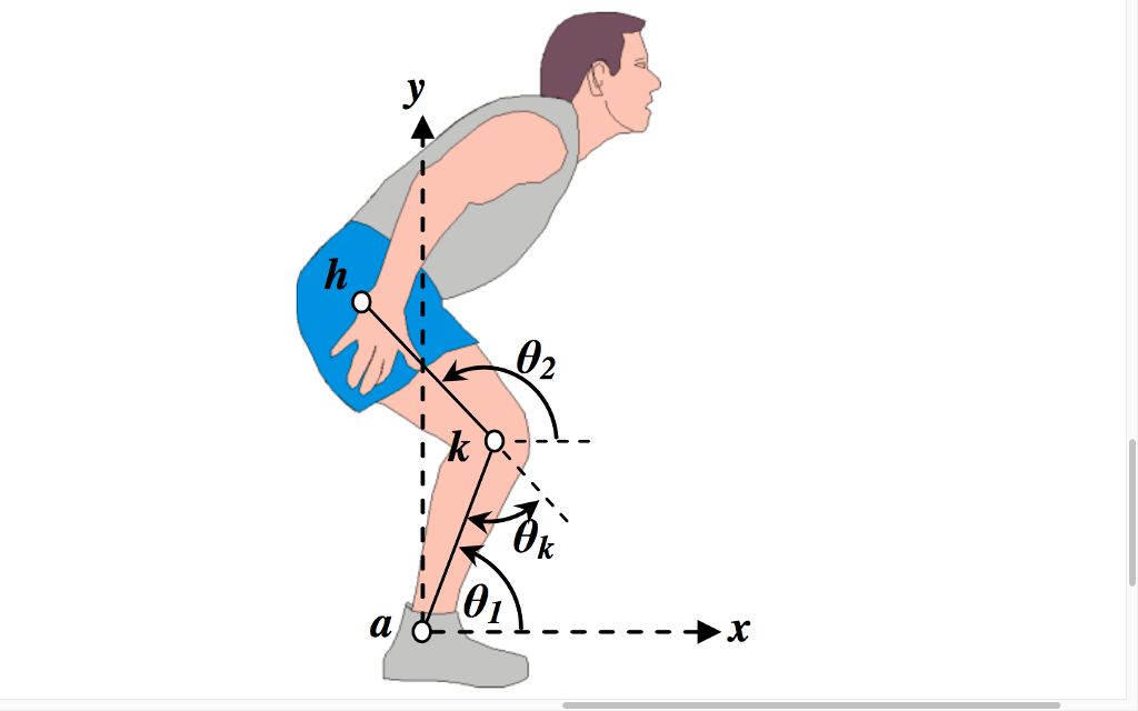 Solved The x-y coordinates of the ankle, knee, and hip are | Chegg.com