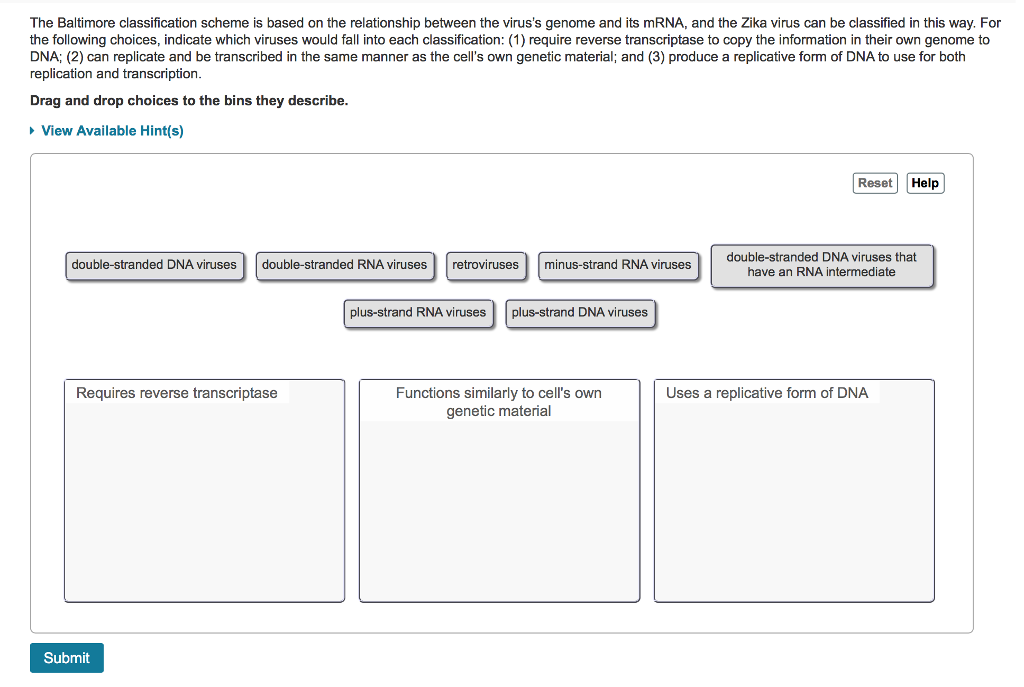 Solved The Baltimore classification scheme is based on the | Chegg.com