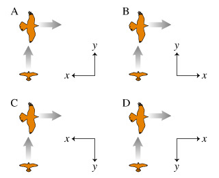 Solved To protect their young in the nest, peregrine falcons | Chegg.com