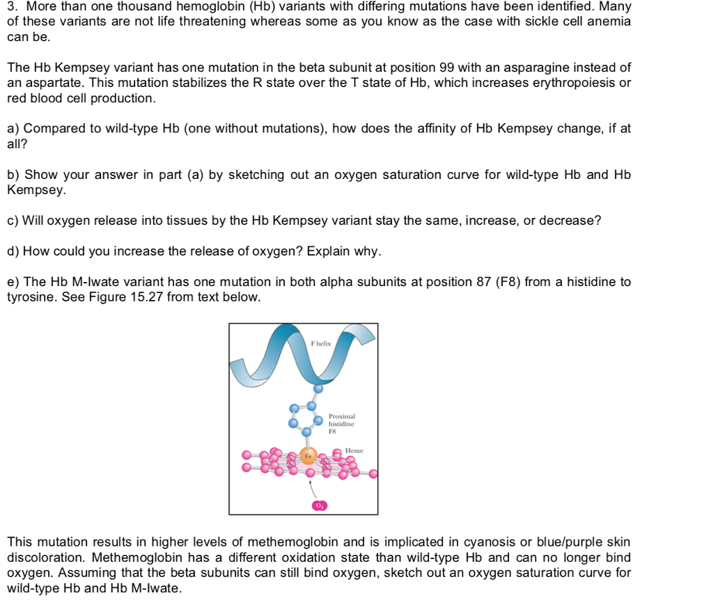 Solved 3. More than one thousand hemoglobin (Hb) variants | Chegg.com