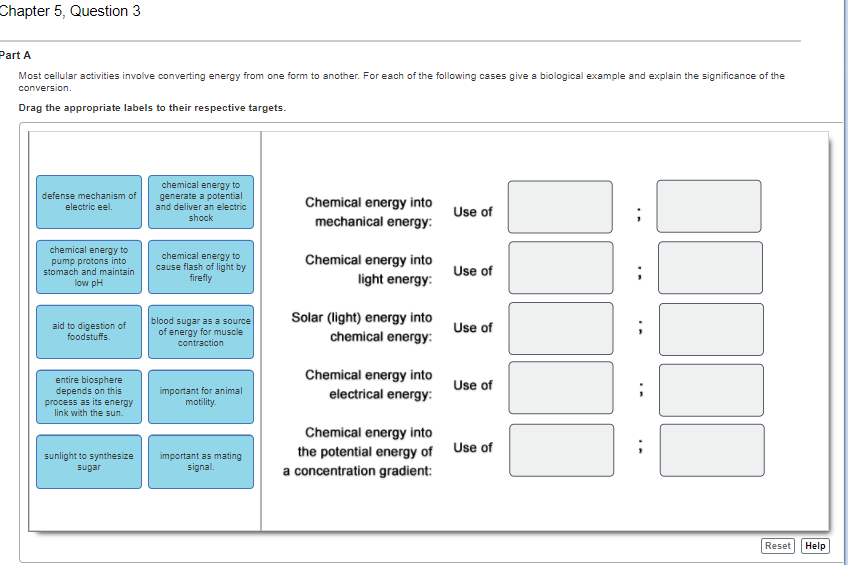 Solved Most cellular activities involve converting energy | Chegg.com