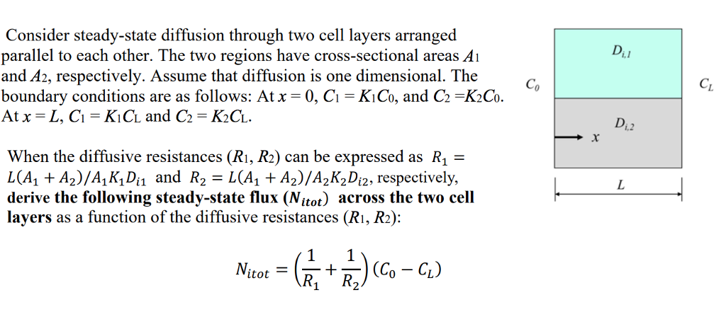Consider steady-state diffusion through two cell | Chegg.com