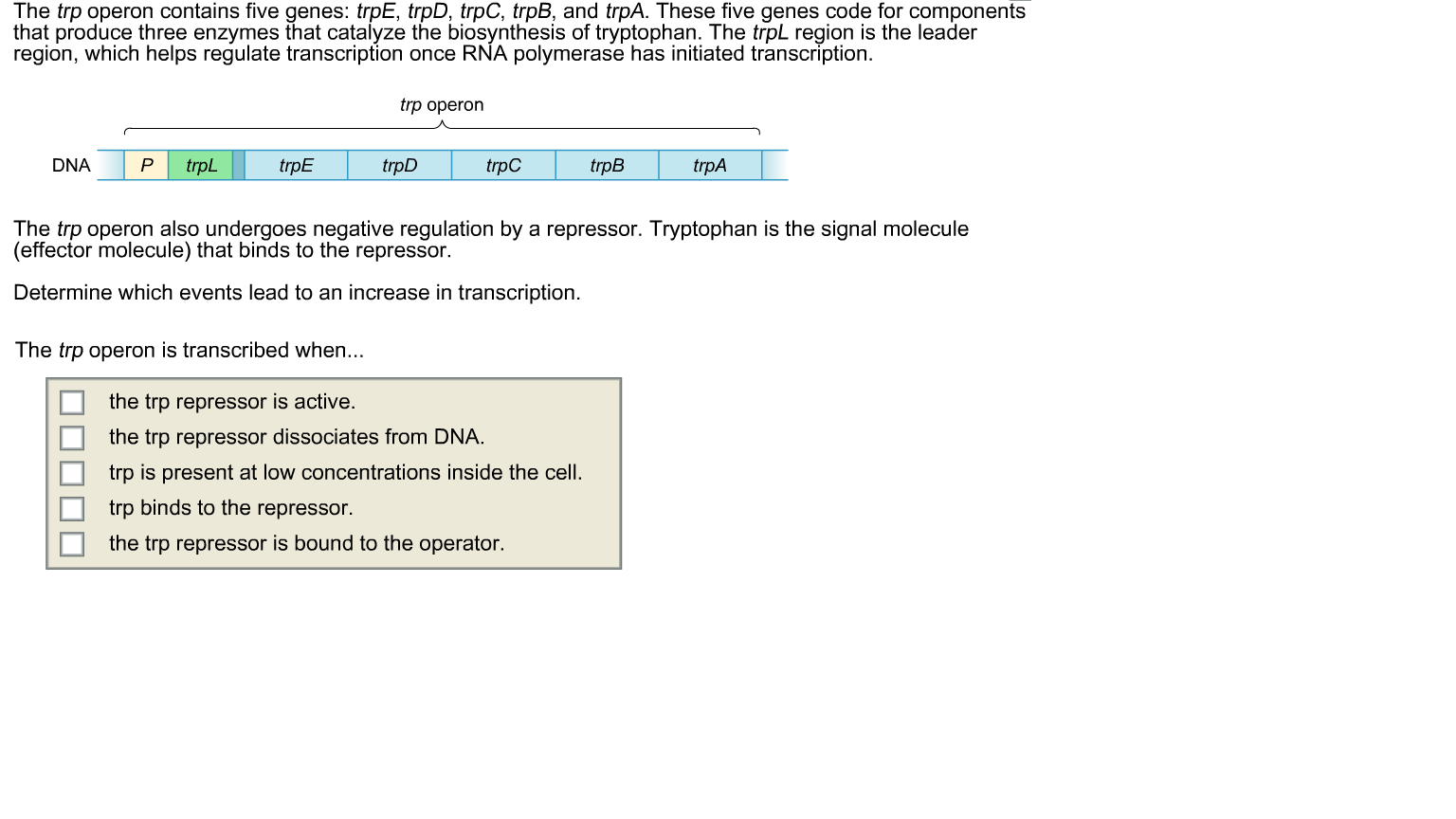 Solved The trp operon contains five genes: trpE, trpD, trpC, | Chegg.com