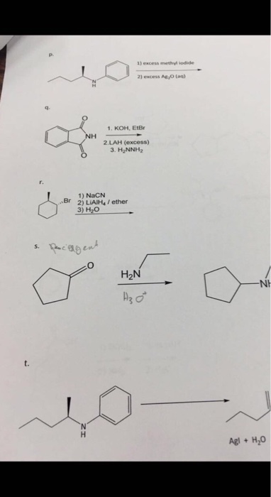 Solved 1) excess methyl sodide 2) excess AtO an) ot 1, KOH, | Chegg.com