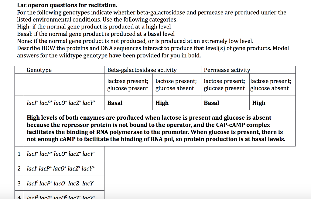 Solved Lac operon questions for recitation. For the | Chegg.com