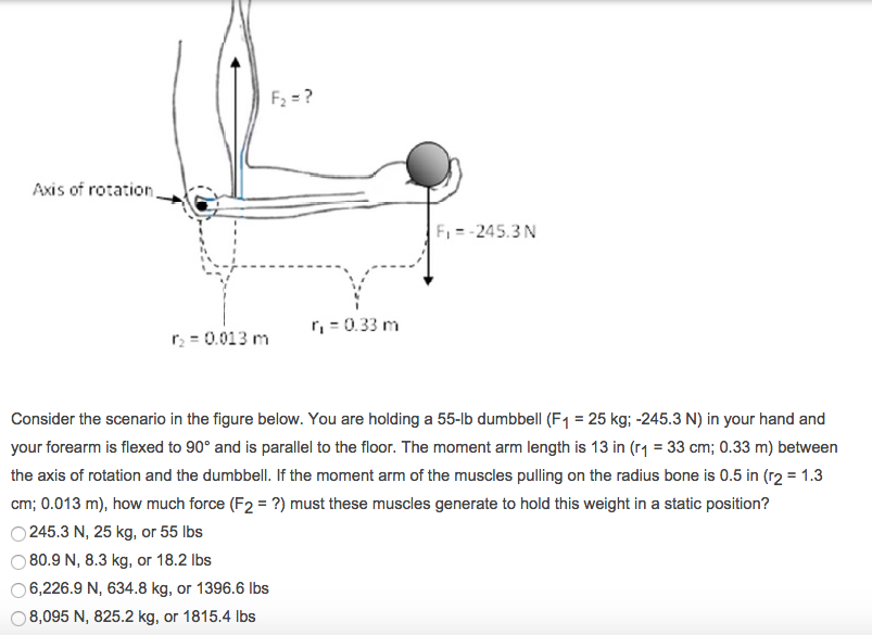Solved During the pitching motion, a baseball pitcher exerts | Chegg.com