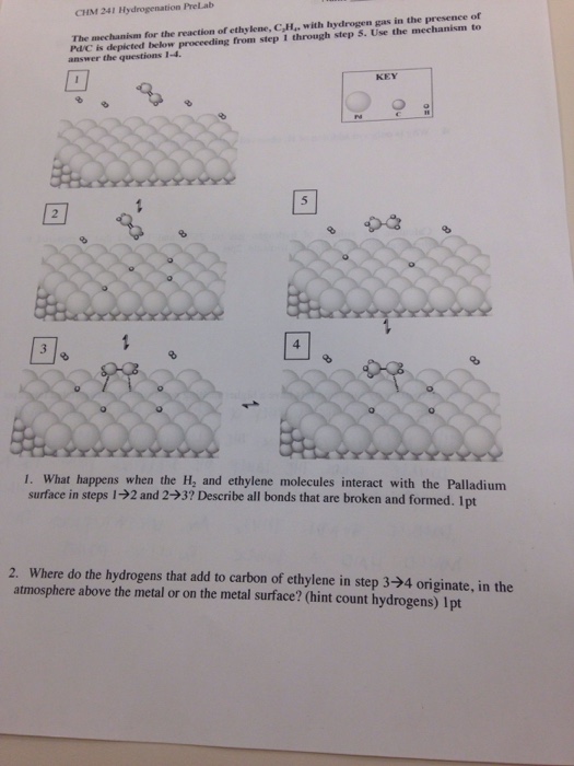 Solved mechanism for reaction of ethylene c2h4 with hydrogen | Chegg.com