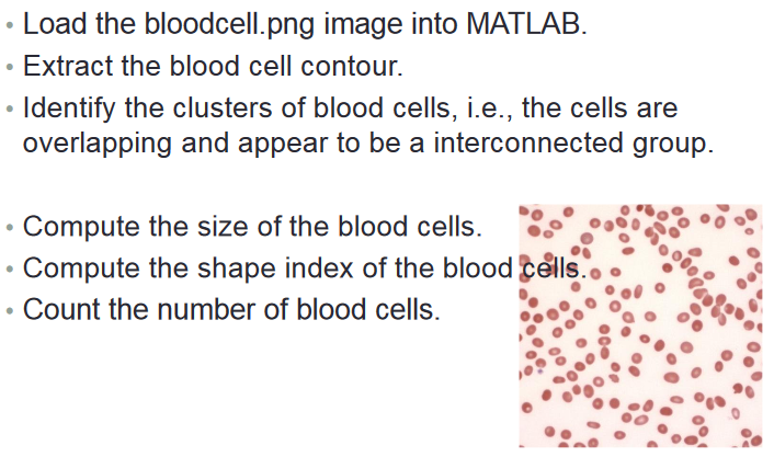 USING MATLAB: USE THE IMAGE BELOW: I WILL RATE | Chegg.com