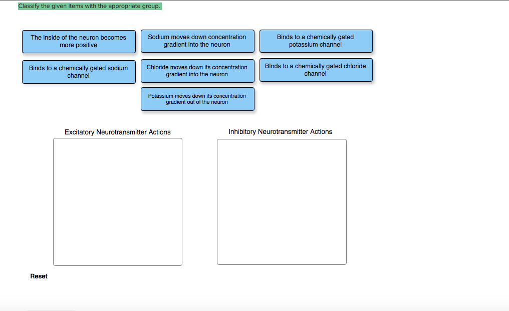 Solved rou The inside of the neuron becomes more positive | Chegg.com