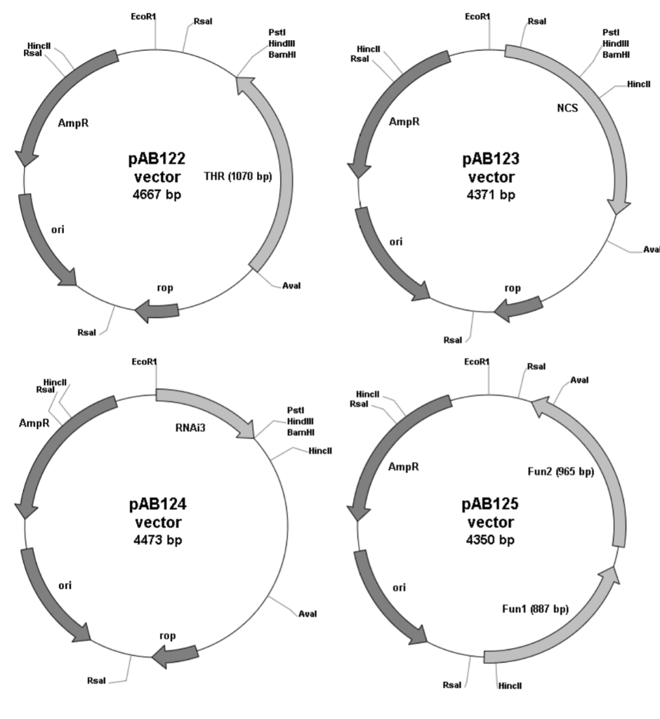 1.plan ten restriction digests: all of the single | Chegg.com