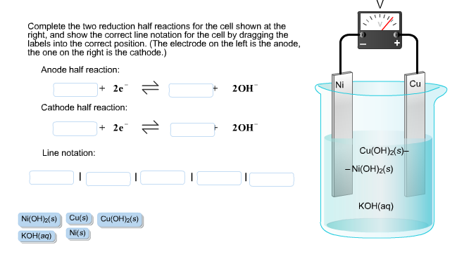 Solved Complete the two reduction half reactions for the | Chegg.com