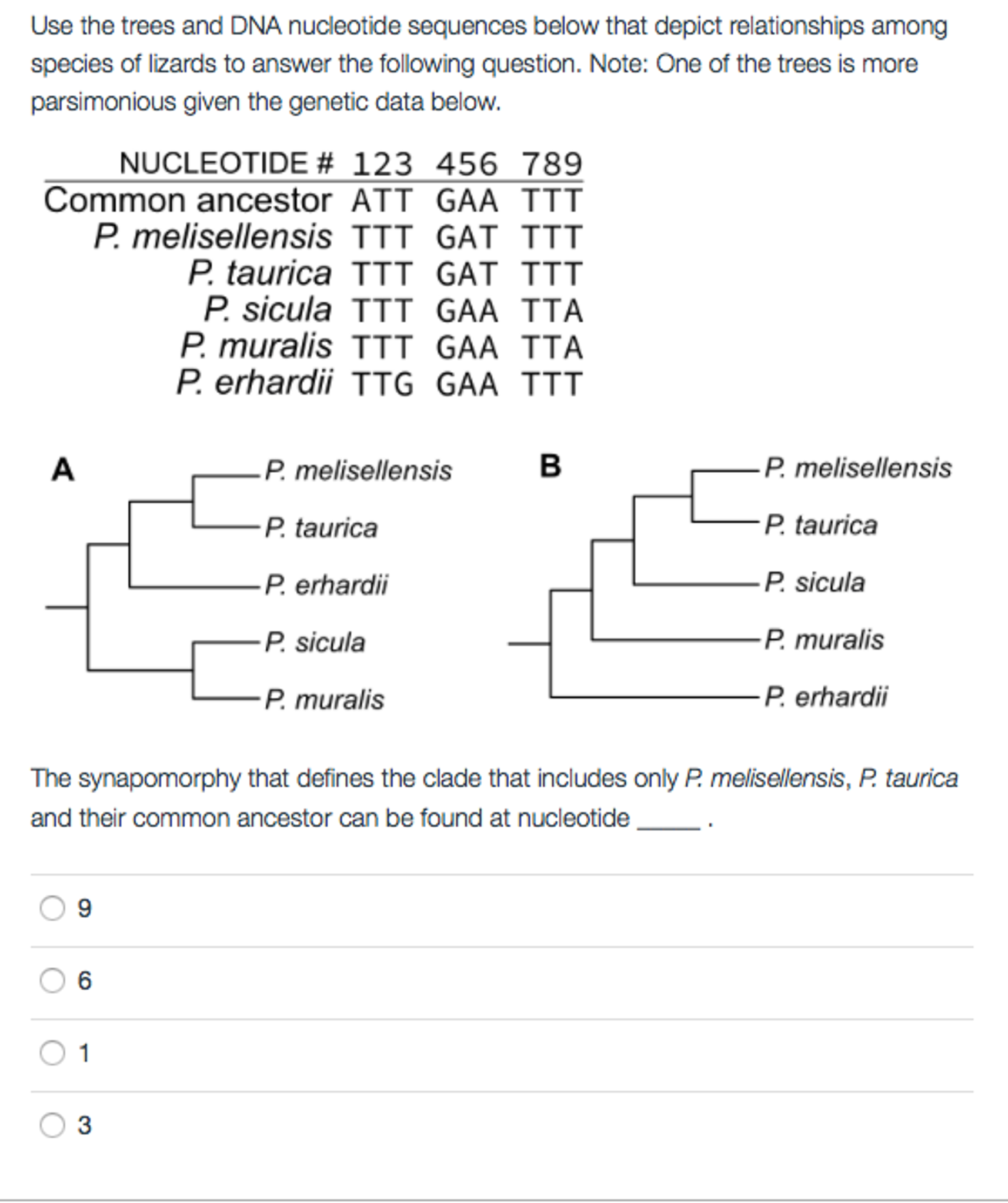 Solved Use the trees and DNA nucleotide sequences below that | Chegg.com