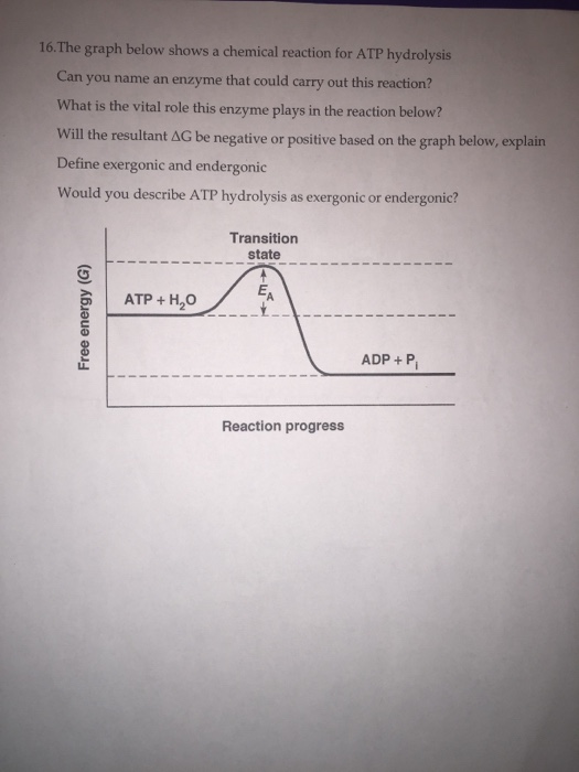 Solved The graph below shows a chemical reaction for ATP | Chegg.com