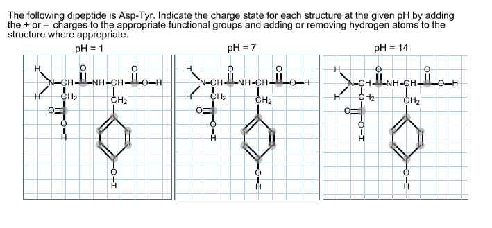 Solved The following dipeptide is Asp-Tyr. Indicate the | Chegg.com