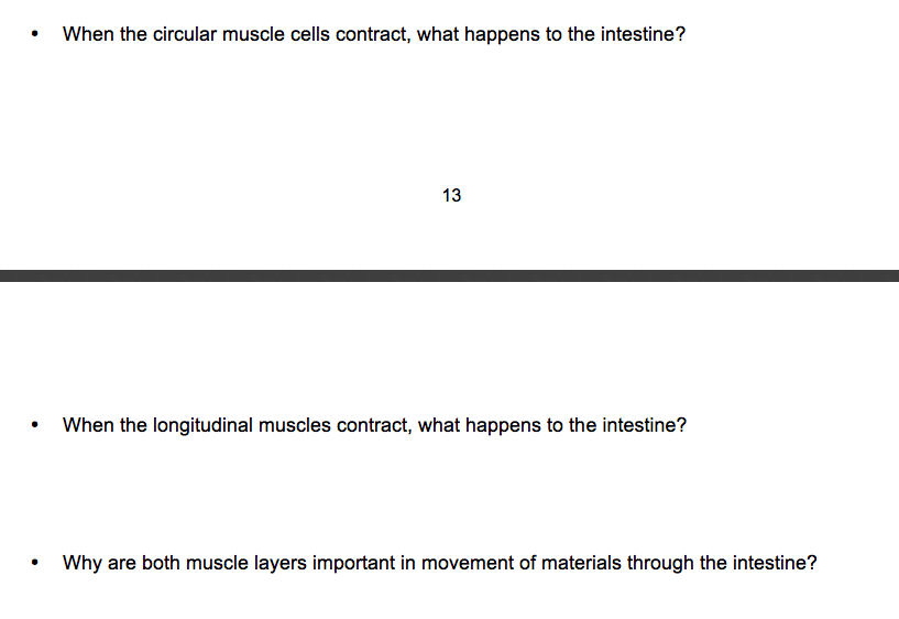 Solved When the circular muscle cells contract, what happens | Chegg.com