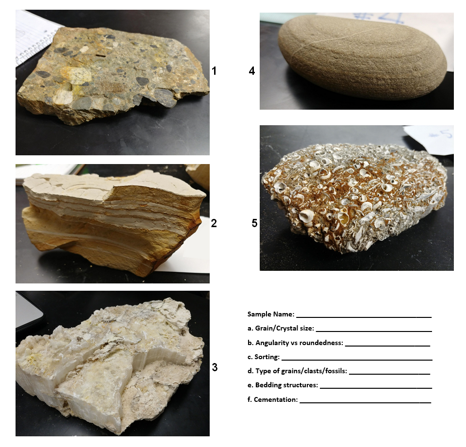 Solved 4 2 Sample Name A Graincrystal Size B Angularity 